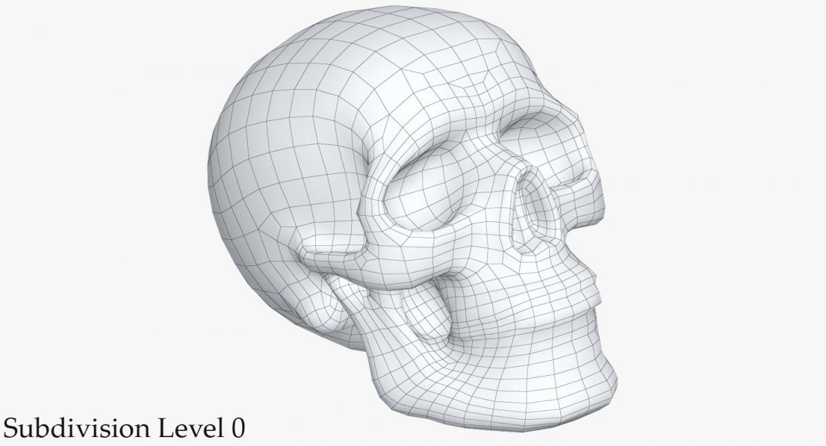 Skull 3d model | Best Of 3d Models